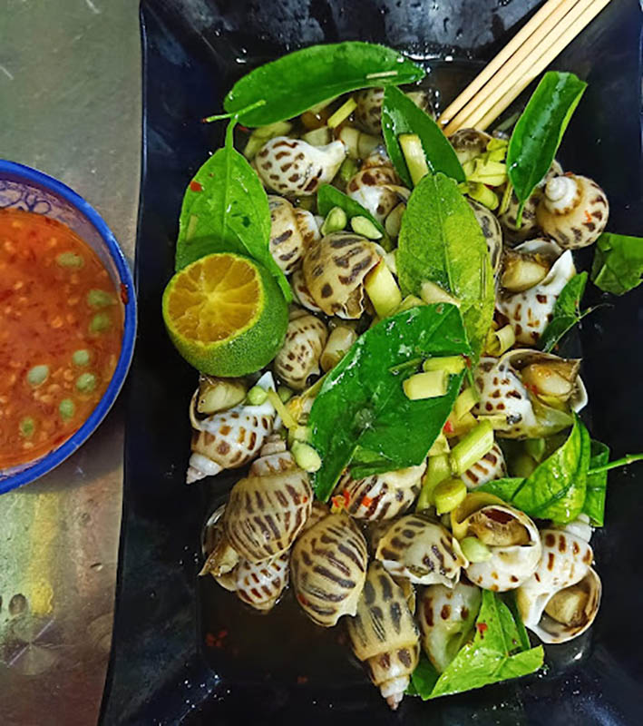 TOP CÁC QUÁN ỐC NGON TẠI SẦM SƠN - Khách sạn Sầm Sơn